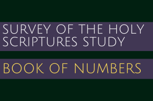 Book of Numbers – Survey of the Holy Scriptures Study – Messianic ...